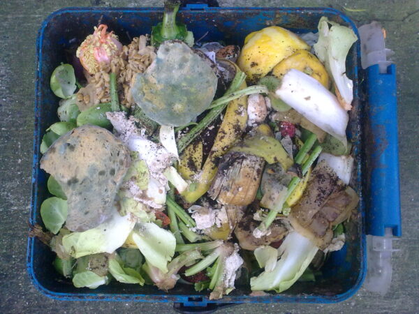 Why & How to Dispose of Food Waste Safely | Essential Food Hygiene